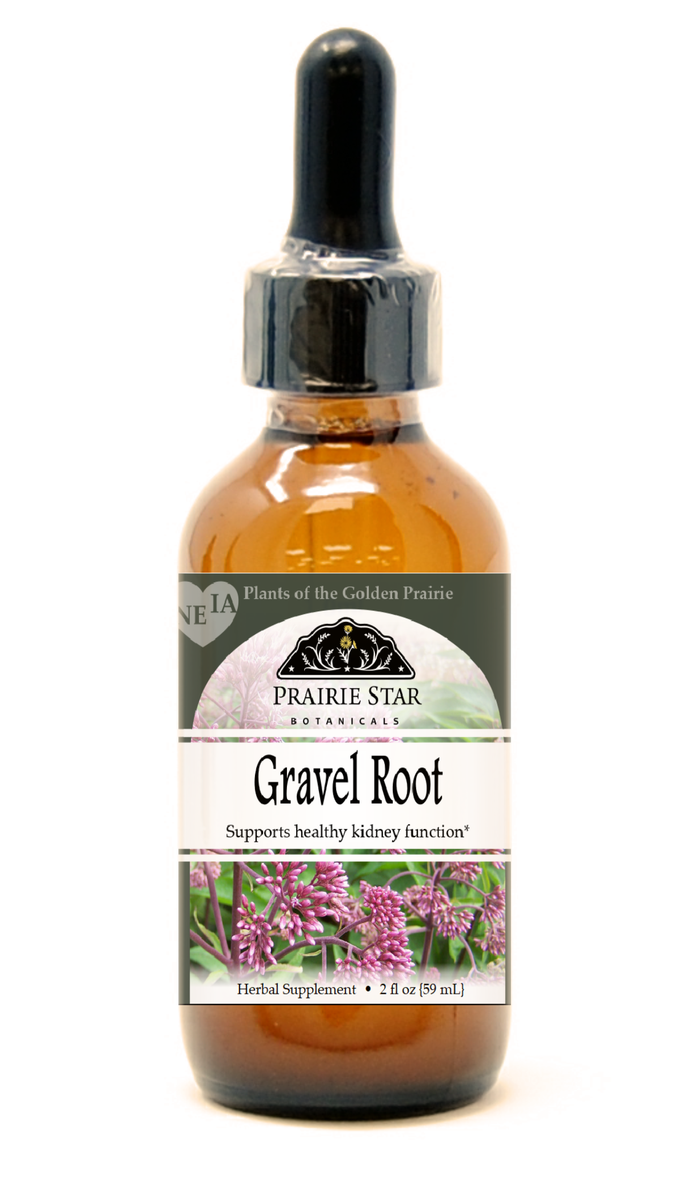 Gravel Root – Prairie Star Botanicals