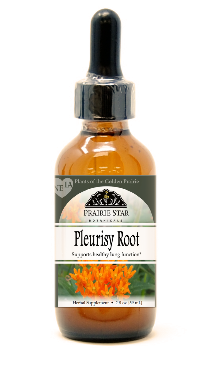 Pleurisy Root – Prairie Star Botanicals
