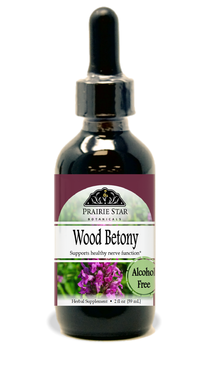 Wood Betony – Prairie Star Botanicals